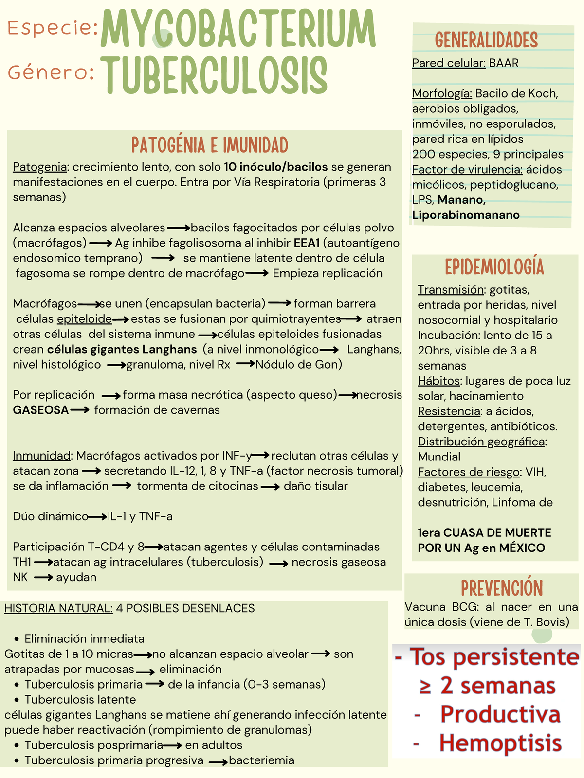 Decálogo Mycobacterium Tuberculosis - TUBERCULOSIS Patogenia ...