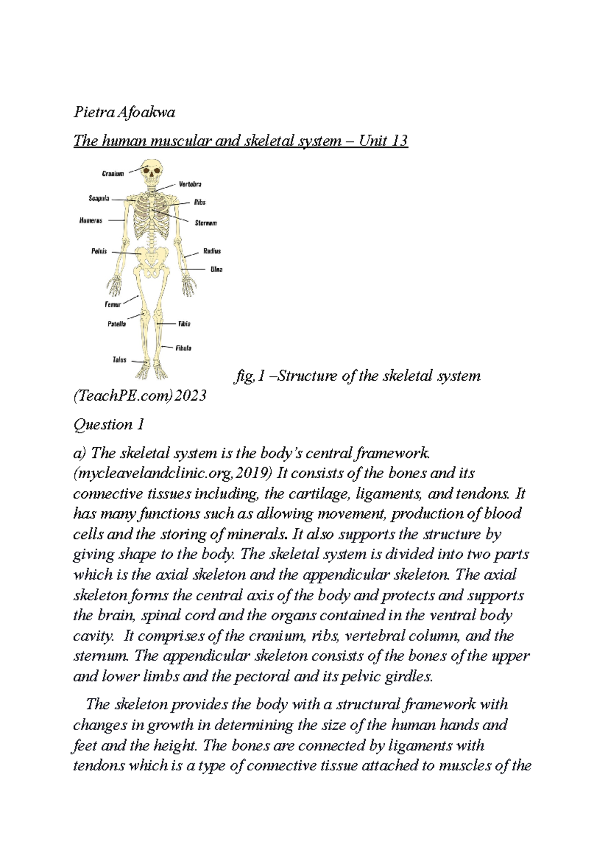 Unit 13 Skeletal - Pietra Afoakwa The human muscular and skeletal ...