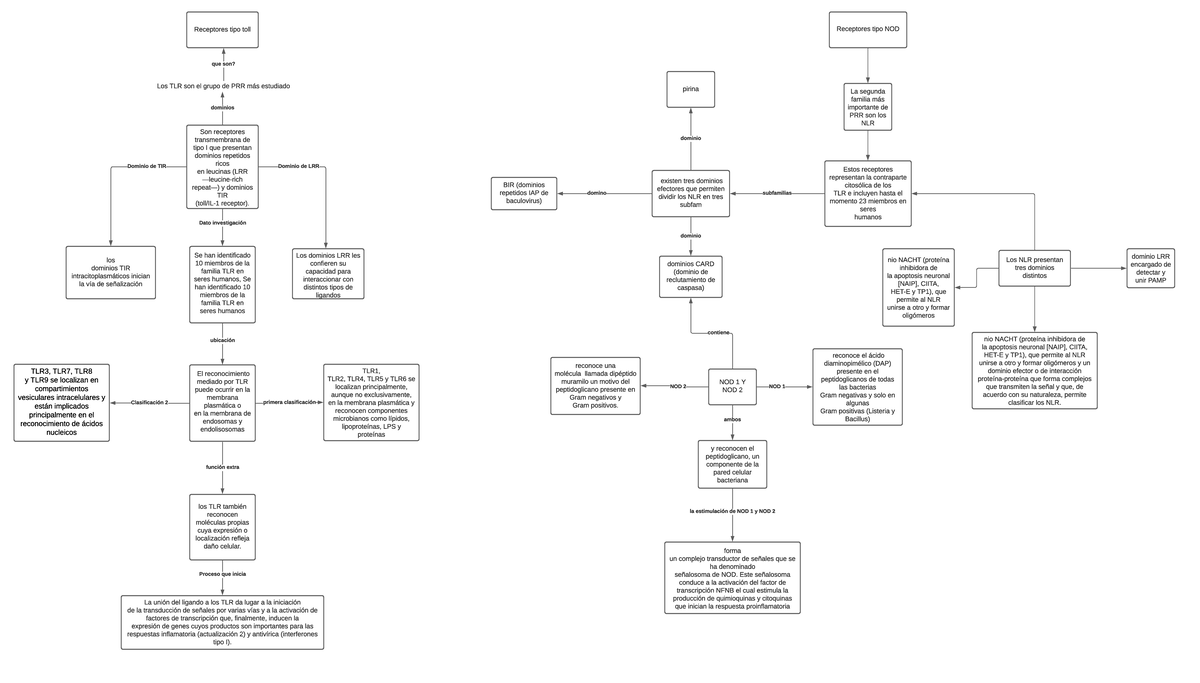 Receptores 1 y 2 - inmunología - Receptores tipo toll Receptores tipo ...