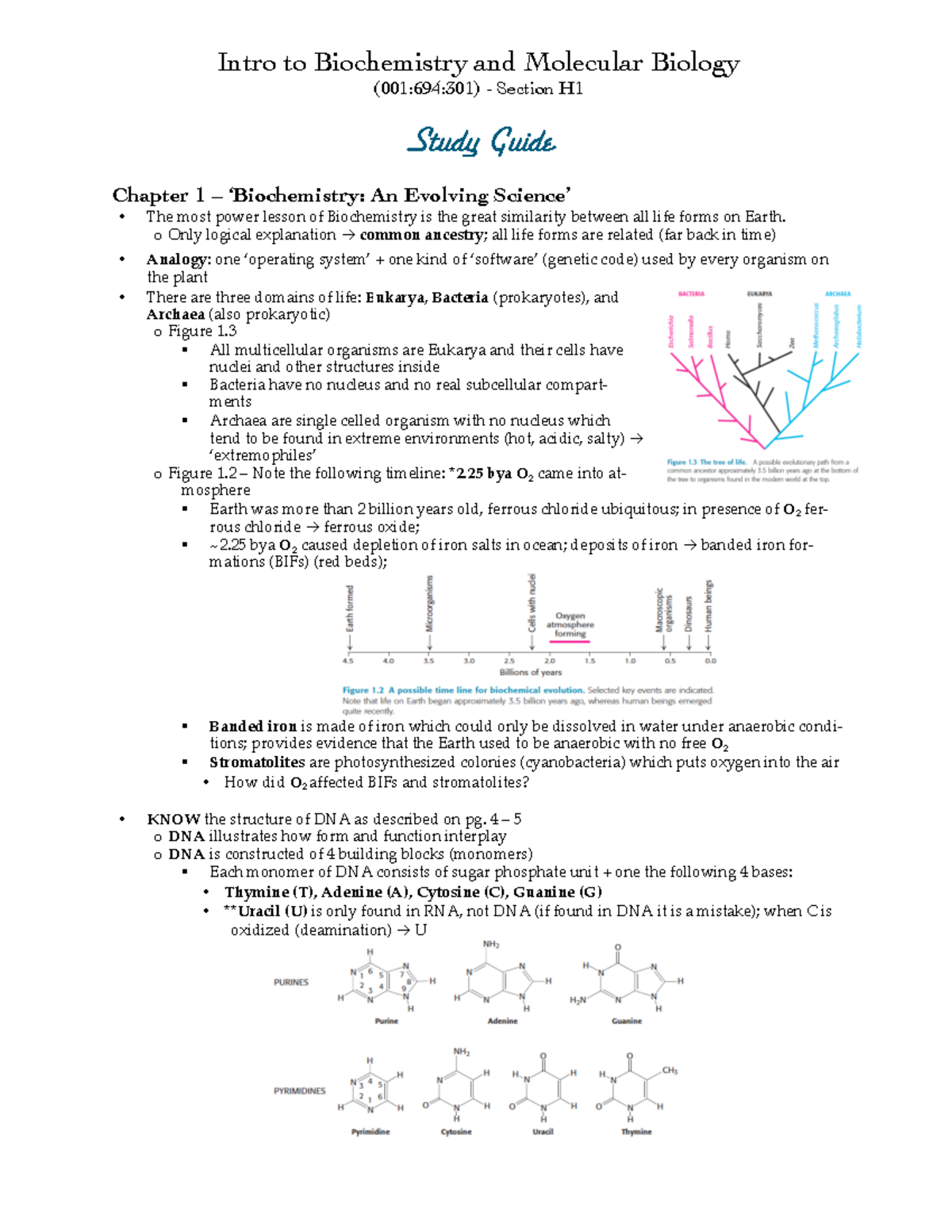 Intro to Biochemistry and Molecular Biology Study Guide - Studocu