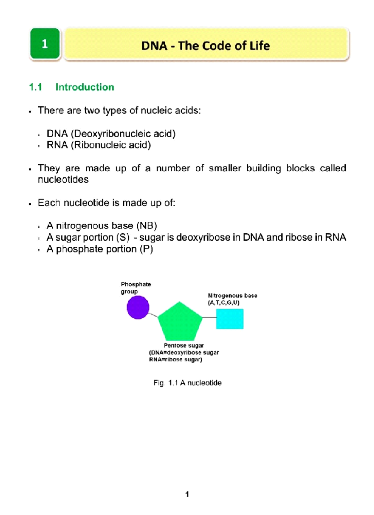 DNA - For matric life science the section dna - DNA - The Code of Life ...