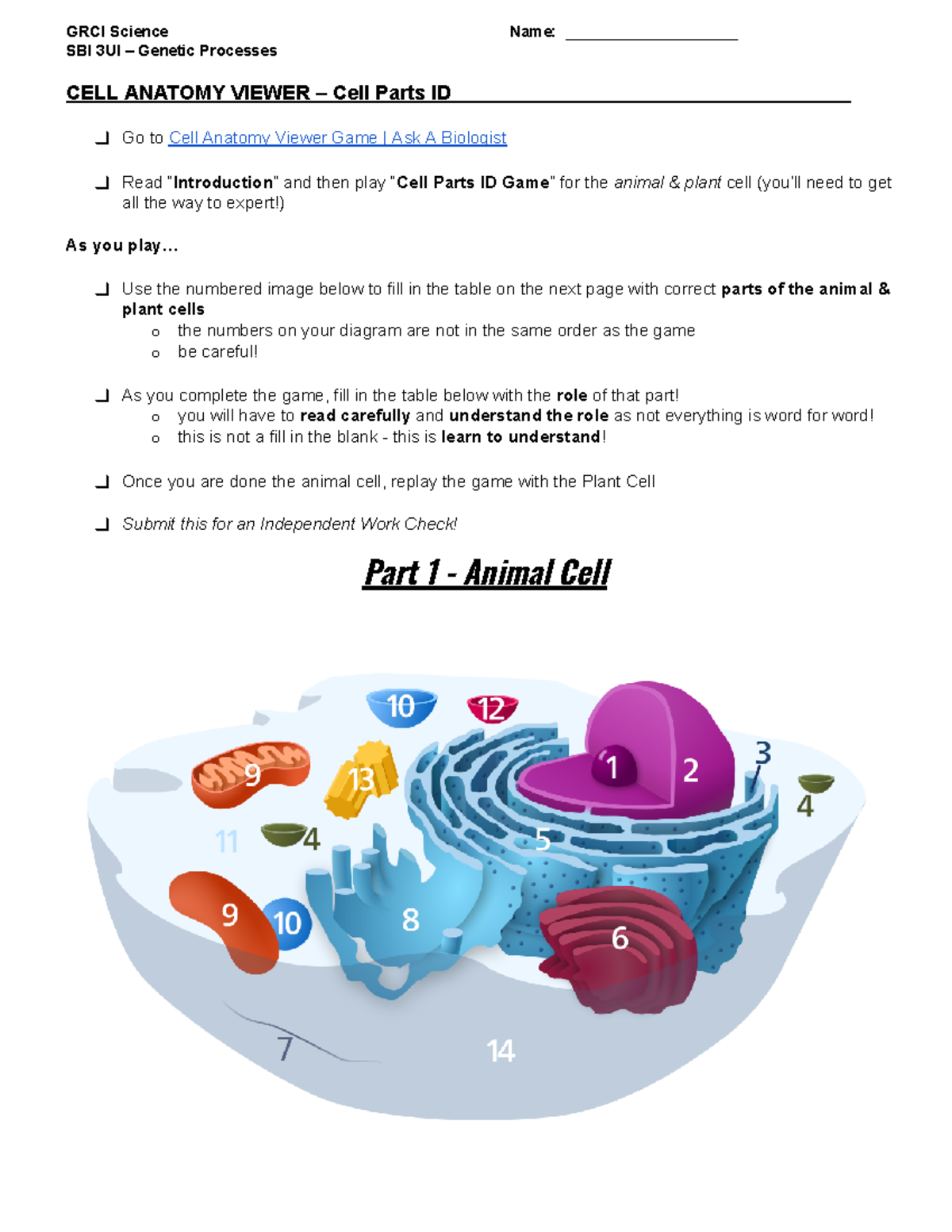 1.02 Teacher Lesson Activity - Cell Anatomy Viewer - SBI 3UI – Genetic ...