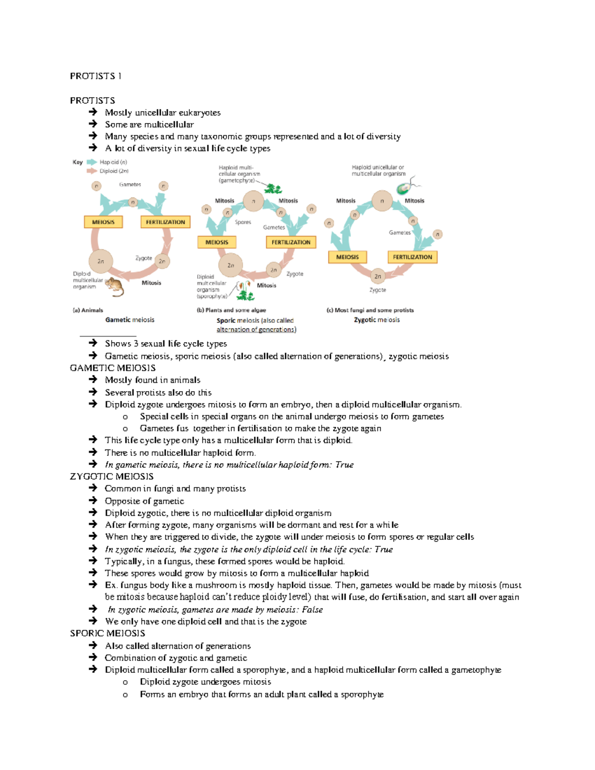 Protists Notes - sdjfkjskk - PROTISTS 1 PROTISTS Mostly unicellular ...