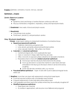 05 - Nervous System - Taught by Dr. Charles Larson - Neurons little ...
