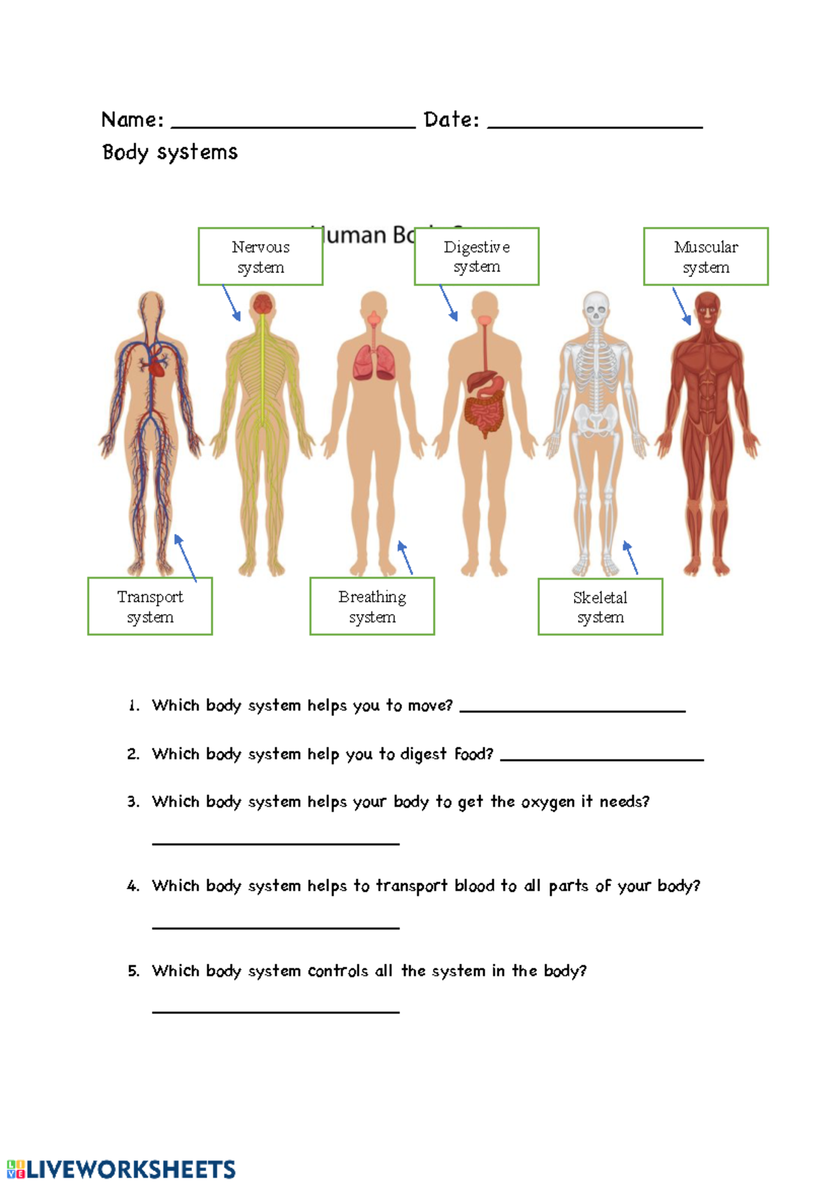 203151411523967 - PSR - Name: _________________ Date ...