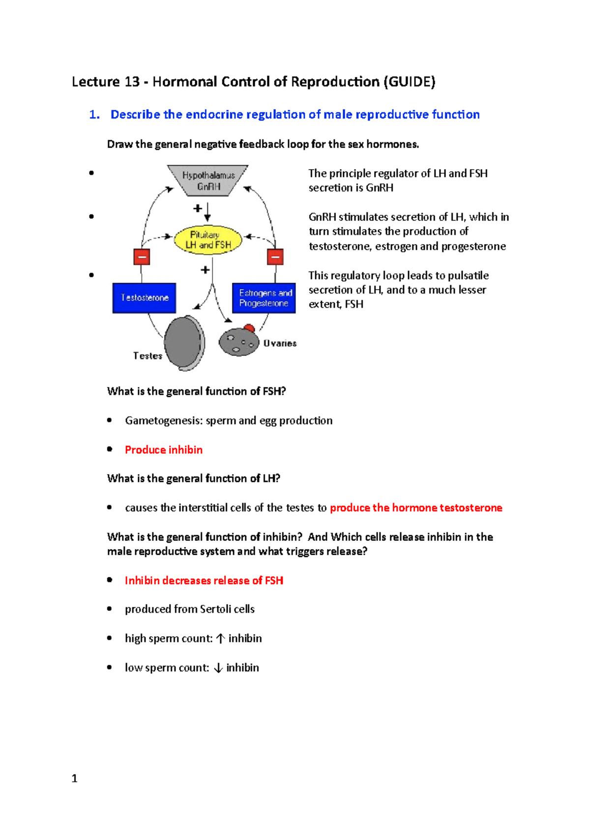 Lecture 13 - Hormonal Control of Reproduction - Describe the endocrine ...
