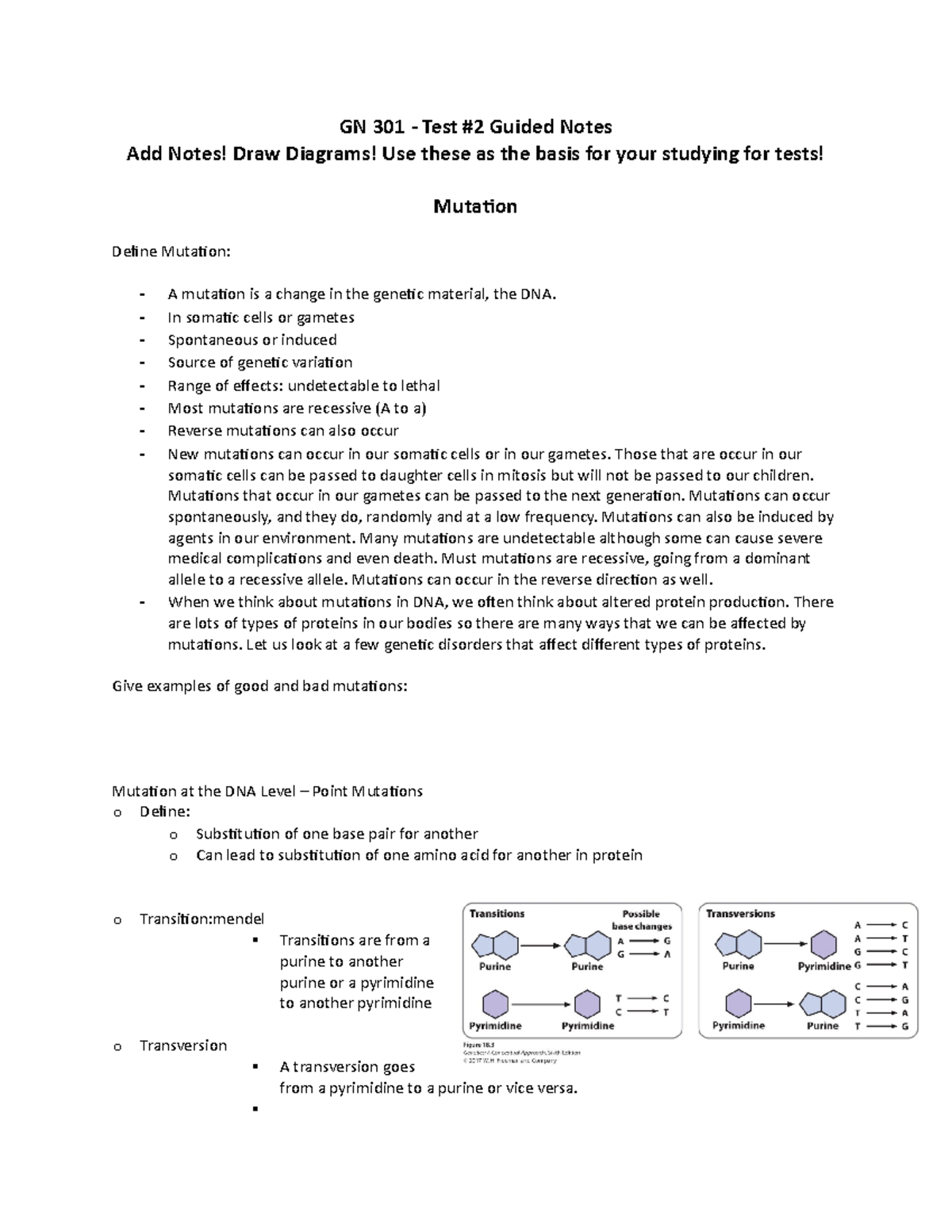 Test 2 guided notes - mutation, effects of the environment, variation ...