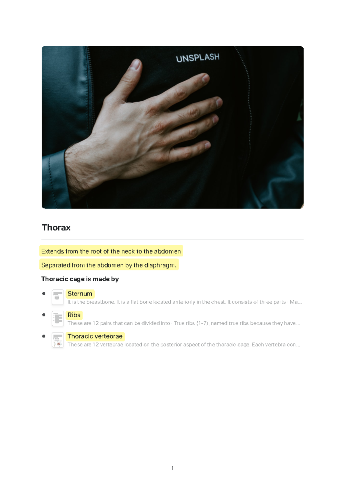Thorax - Summary Anatomy 1 - Thorax Extends from the root of the neck ...