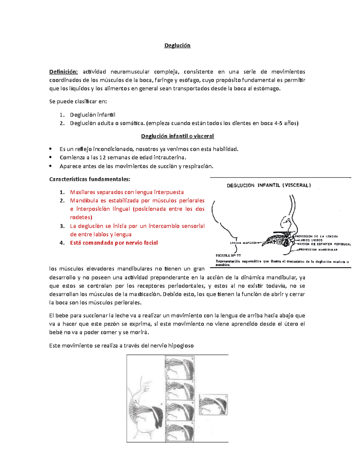 Deglucion - resumen de información sobre deglución fisiologica ...