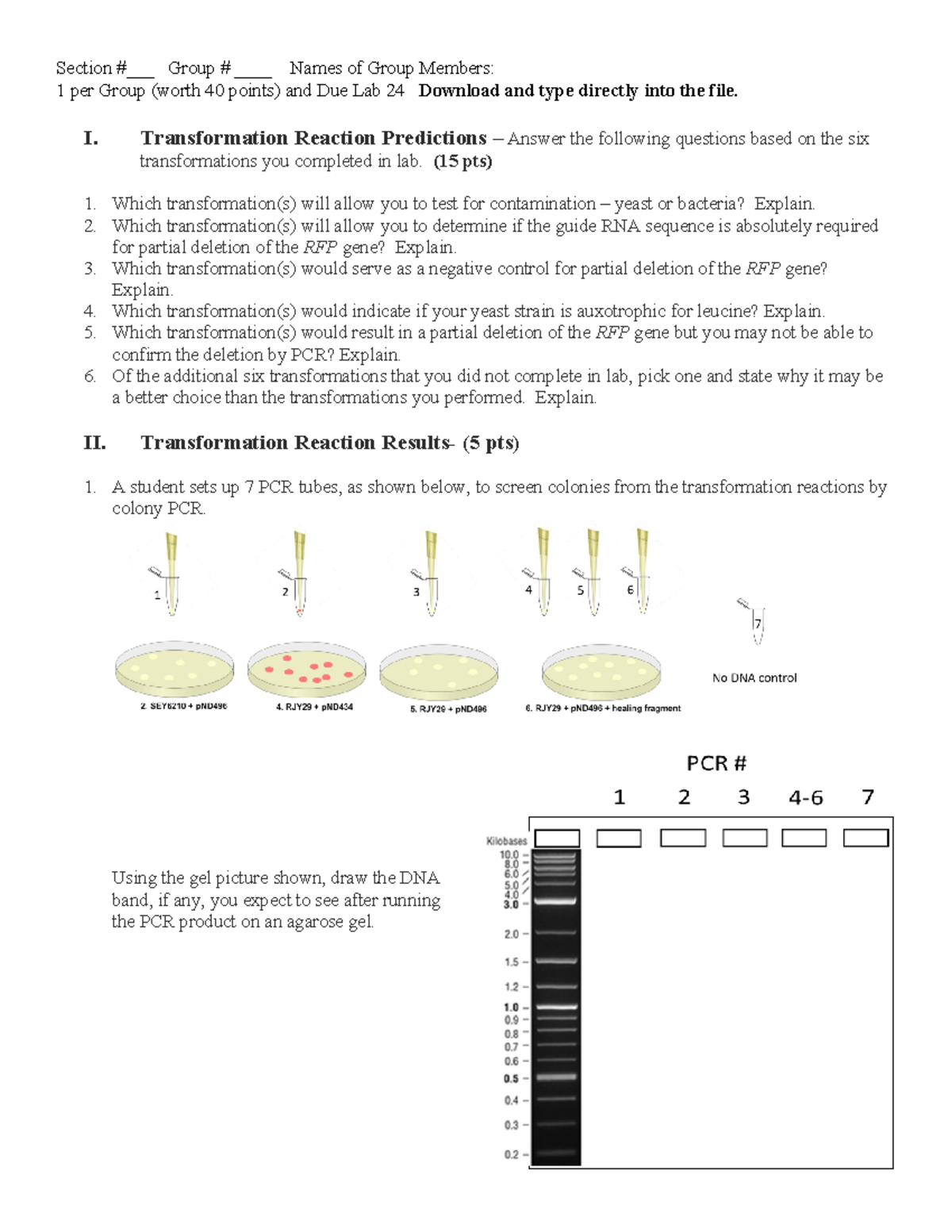 Crispr Worksheet BIO205s24 - Section #___ Group # ____ Names of Group ...