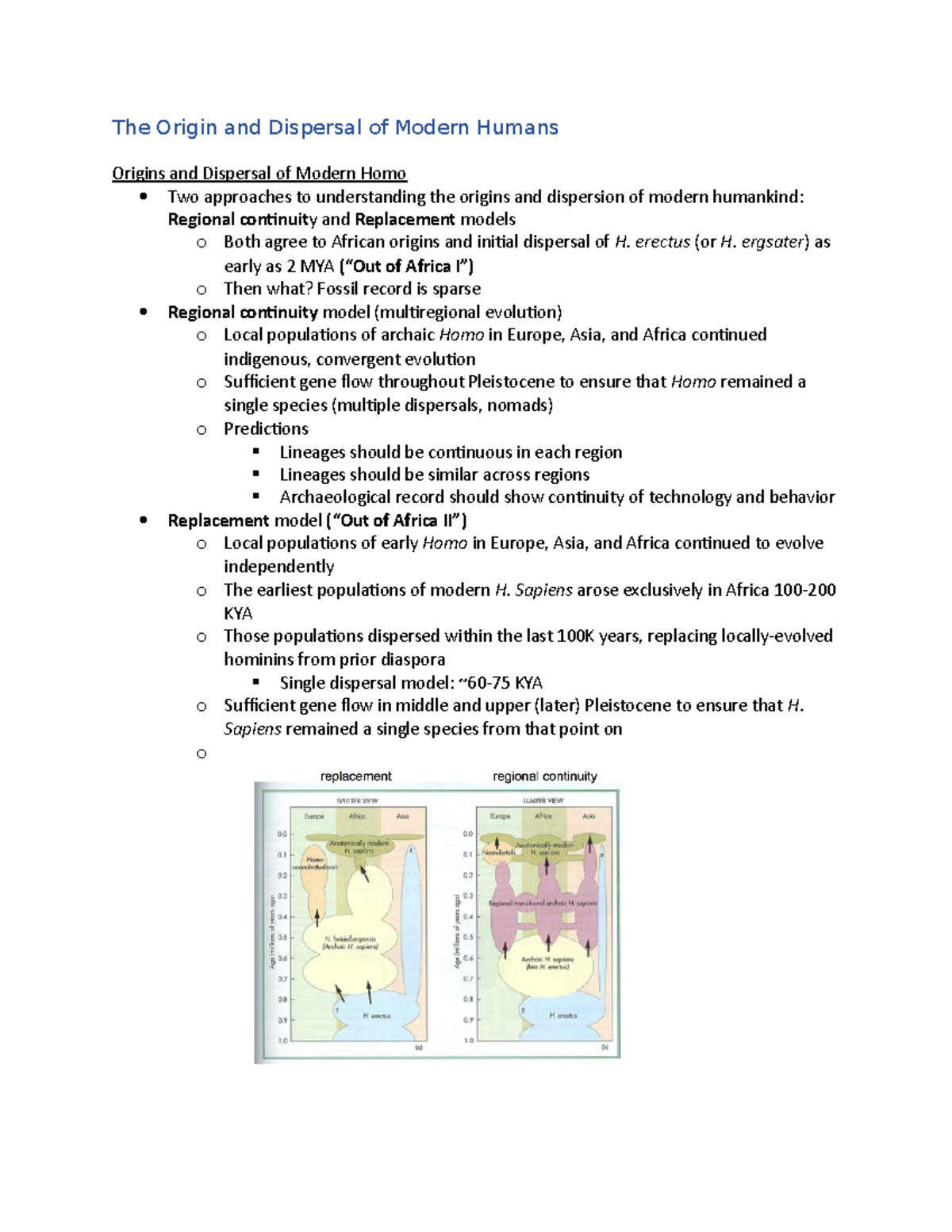 The Origin and Dispersal of Modern Humans - erectus (or H. ergsater) as ...