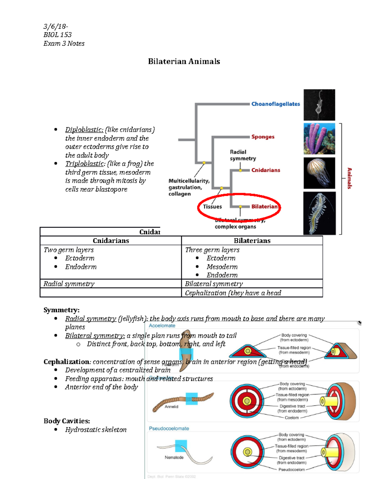 BIOL 153 Lecture Notes for Exam Three - 3/6/18BIOL 153 Exam 3 Notes ...