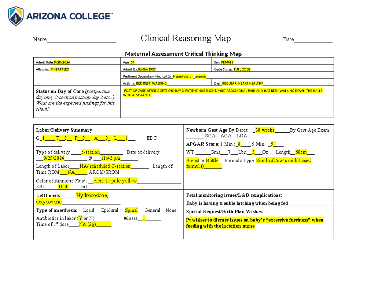 Maternity clinical thinking map #1 - Maternal Assessment Critical ...