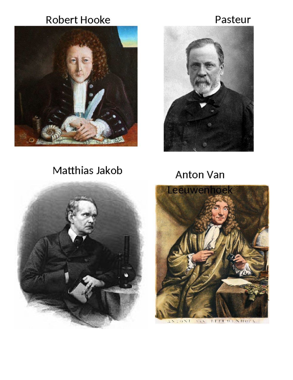 Aportes y teorias - v Robert Hooke Pasteur Matthias Jakob Anton Van ...