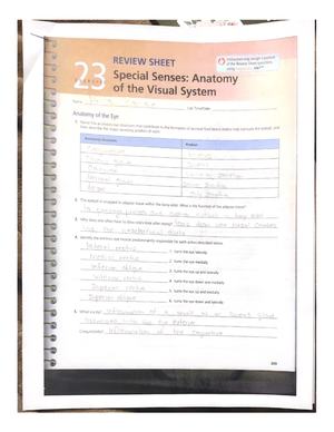 Anatomy of the reproductive system exercise 42 - EXERCISE 42 REVIEW ...