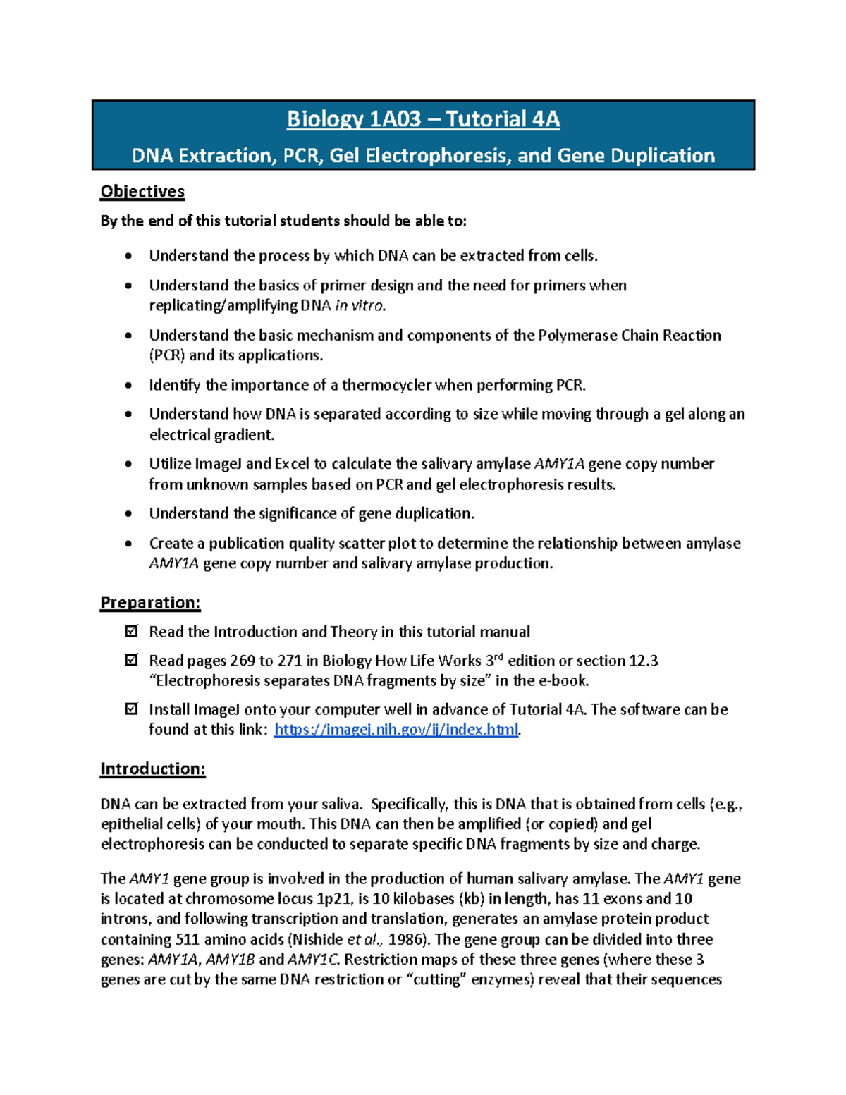Tutorial 4A manual, gel electrophoresis and PCR - Biology 1A03 ...