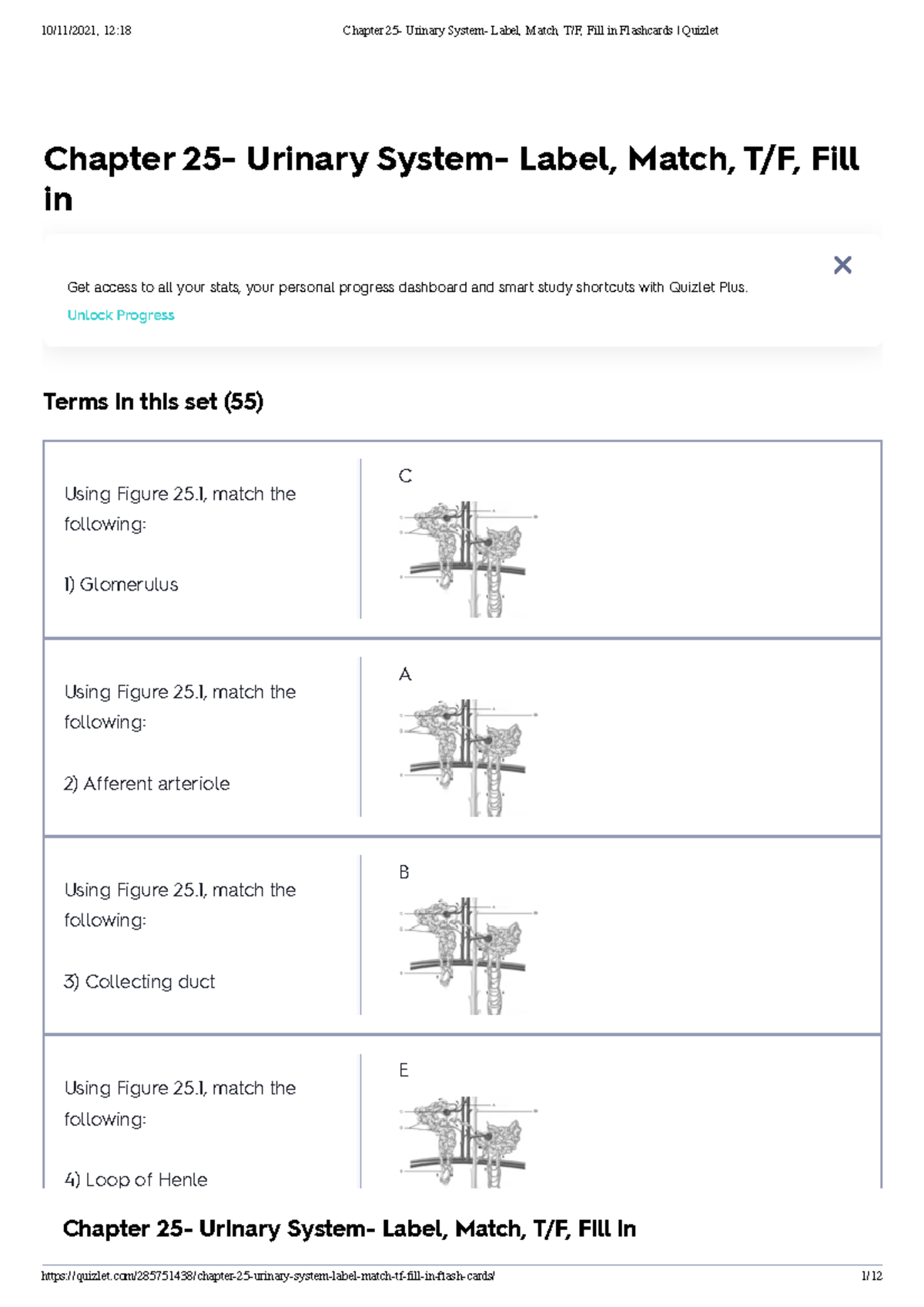 Chapter 25- Urinary System- Label, Match, T F, Fill in Flashcards ...