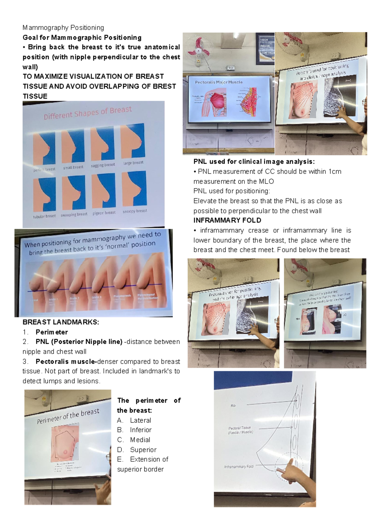 Mammography-Endterm - These is some of the additional notes you can use ...