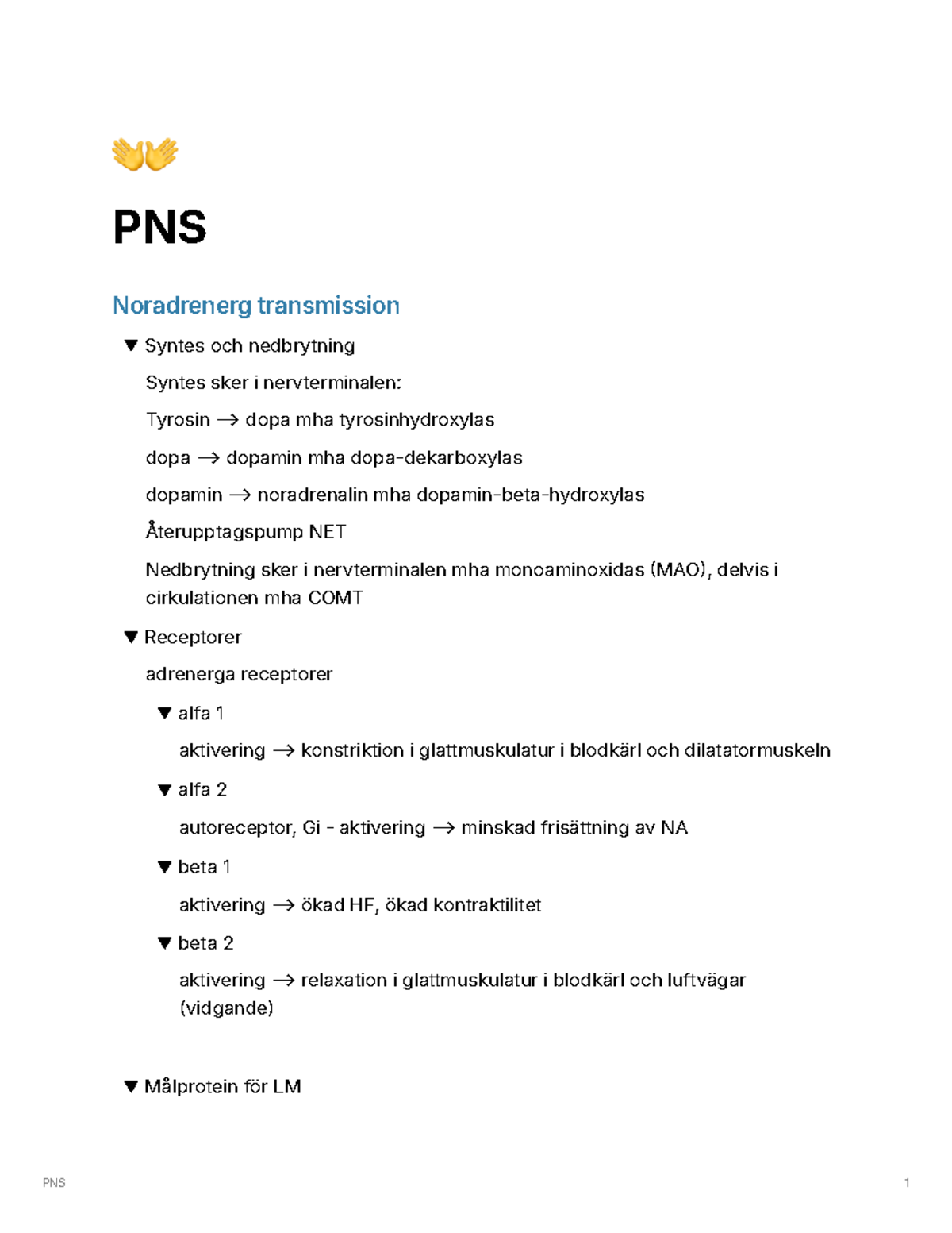Perifera nervsystemet - 👐 PNS Noradrenerg transmission Syntes och ...