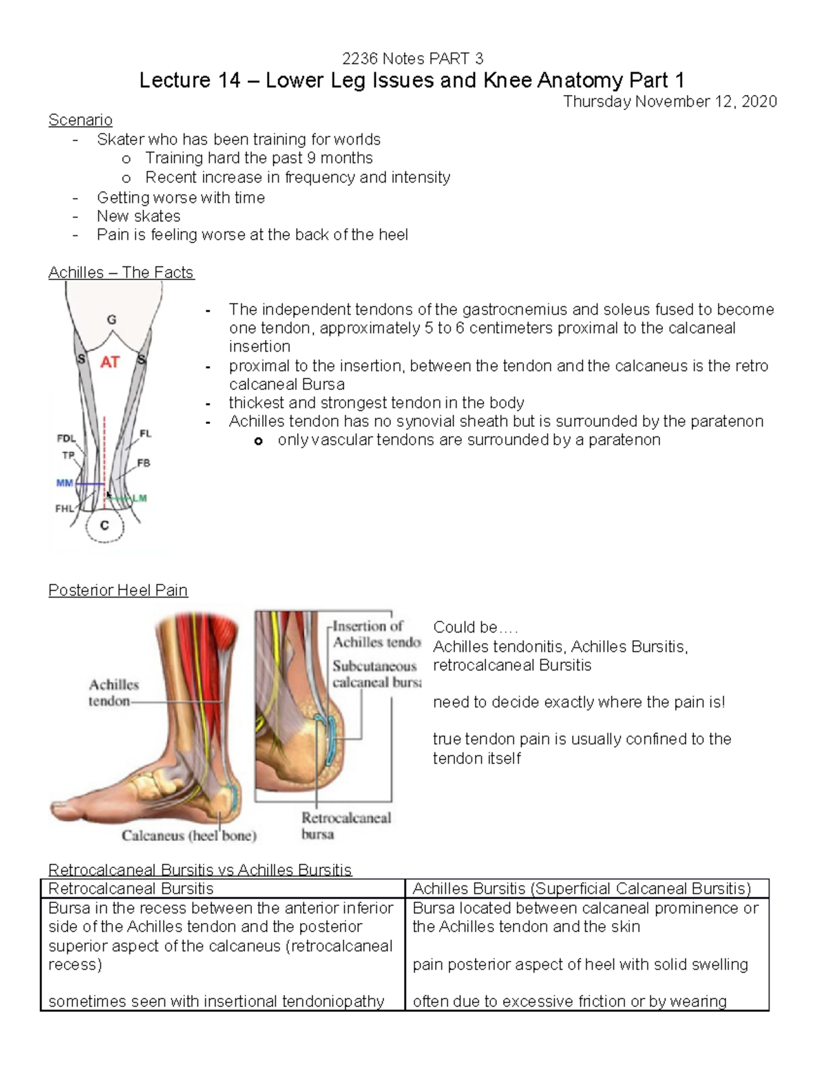 2236 Notes PART 3 - 2236 Notes PART 3 Lecture 14 – Lower Leg Issues and ...