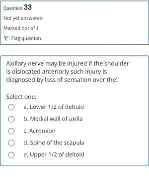 PAT 1 2021 - anatomy - My courses HUMAN ANATOMY PROGRESS ASSESSMENT ...