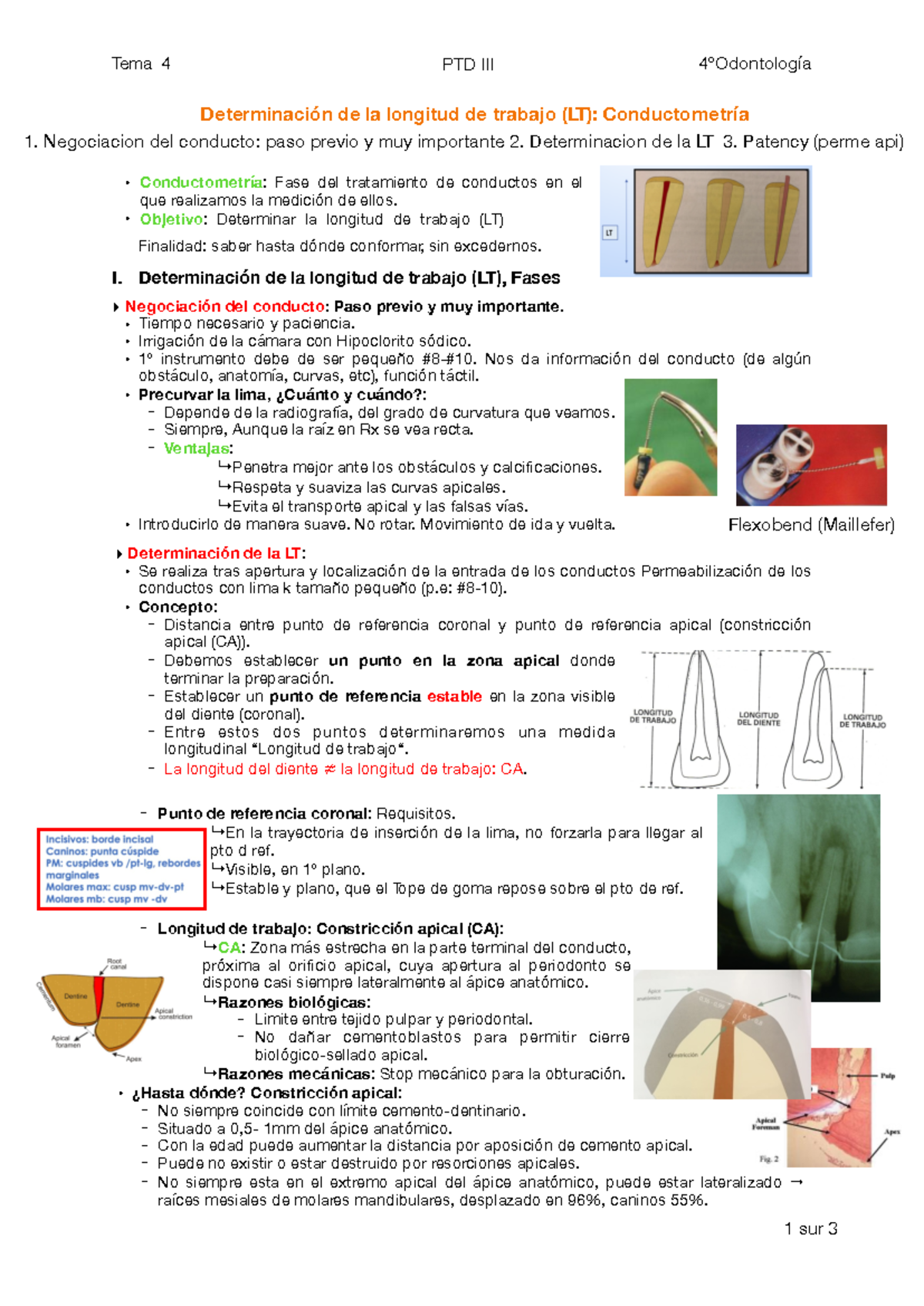 Conductometria'' - Conductometría: Fase del tratamiento de conductos en ...