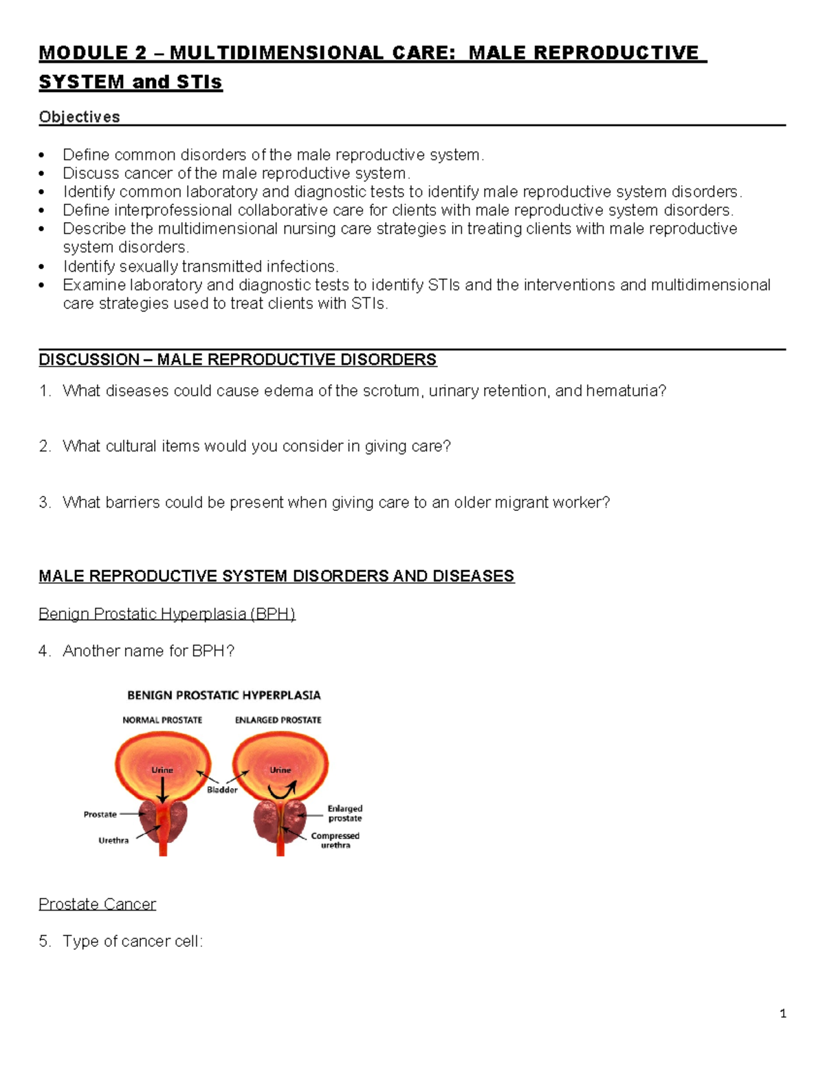 Mdc III (NUR2759) - MODULE 2 – MULTIDIMENSIONAL CARE: MALE REPRODUCTIVE SYSTEM and STIs ...