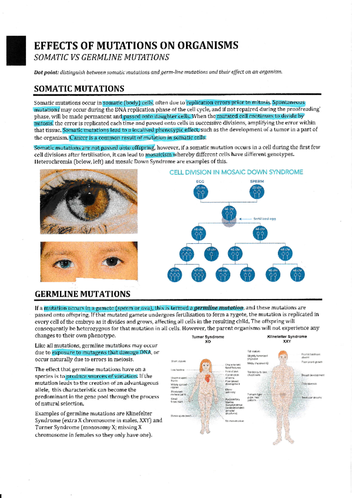 Effect of mutation on organisms - EFFECTS OF MUTATIONS ON ORGANISMS ...