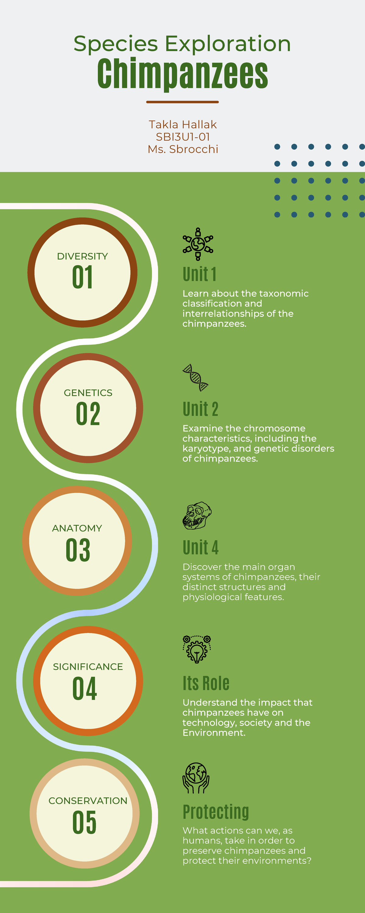 Chimpanzee- SBI3U1 FX CPT (Endangered Species) - Unit 2 Examine the ...