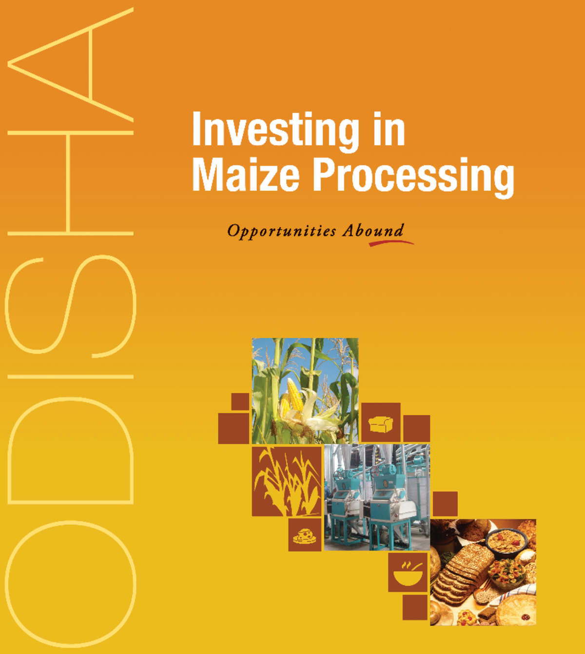 2. Investing in Maize Processing - 1 Content 2 Production & consumption ...