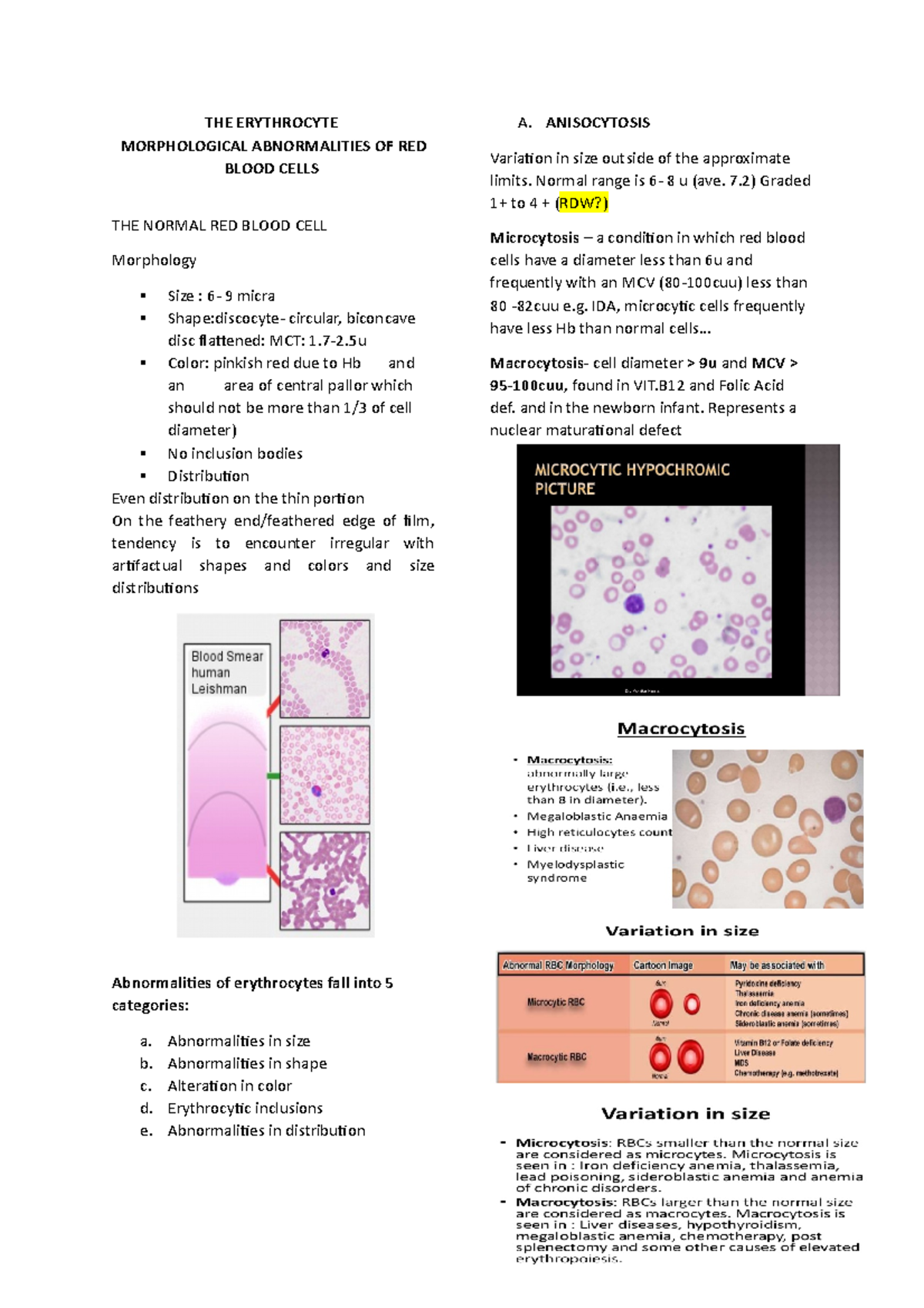 L4.1 RBC Morphology - Lecture notes 5 - Histopathologic & Cytologic ...