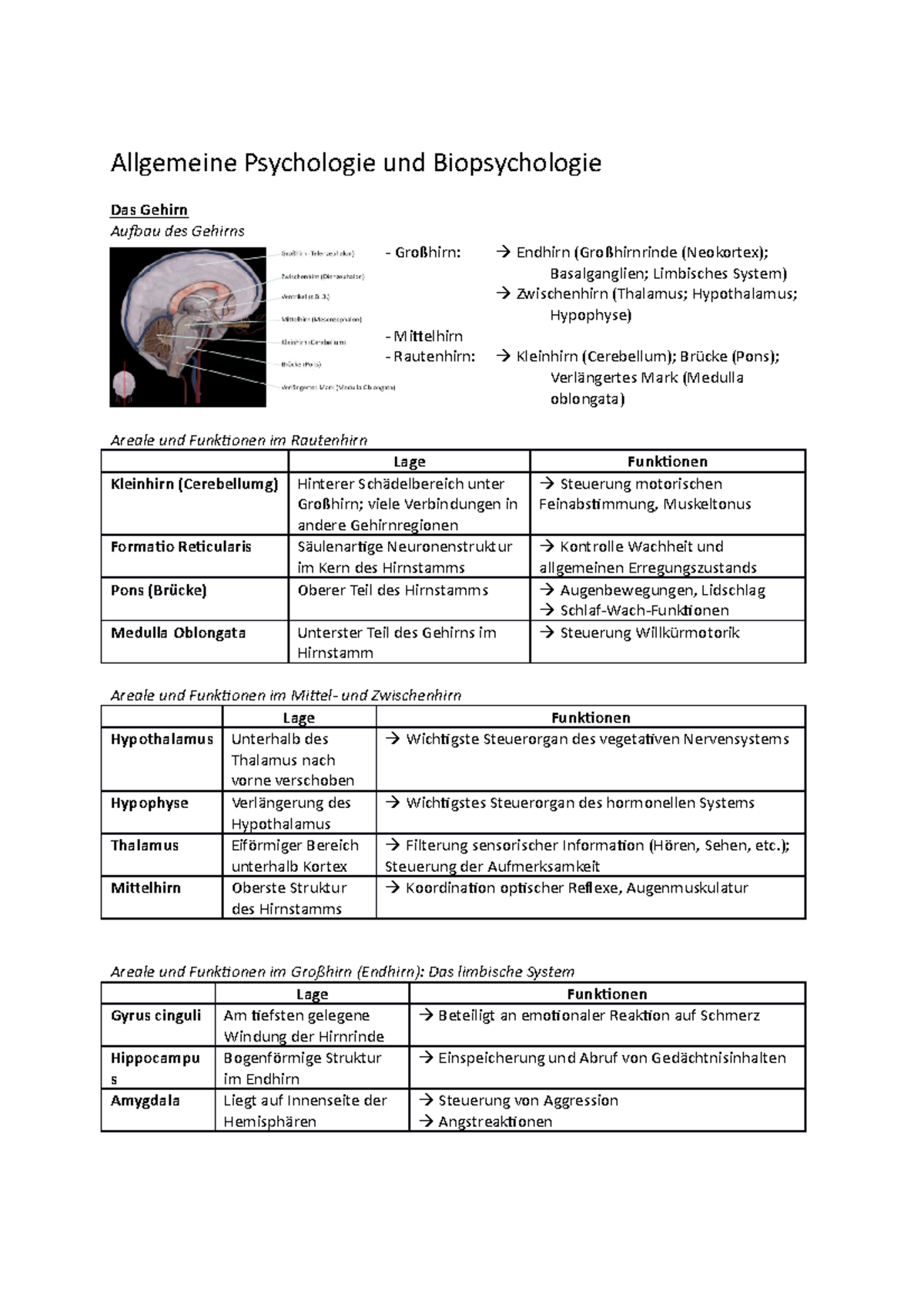 Zusammenfassung - Allgemeine Psychologie und Biopsychologie Das Gehirn Aufbau des Gehirns ...