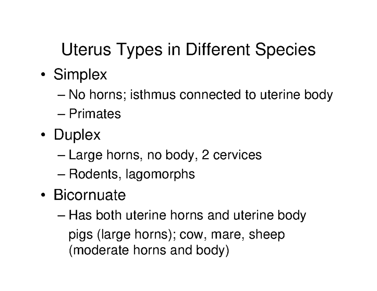 Practical - Repro-placenta and uterus - Uterus Types in Different ...