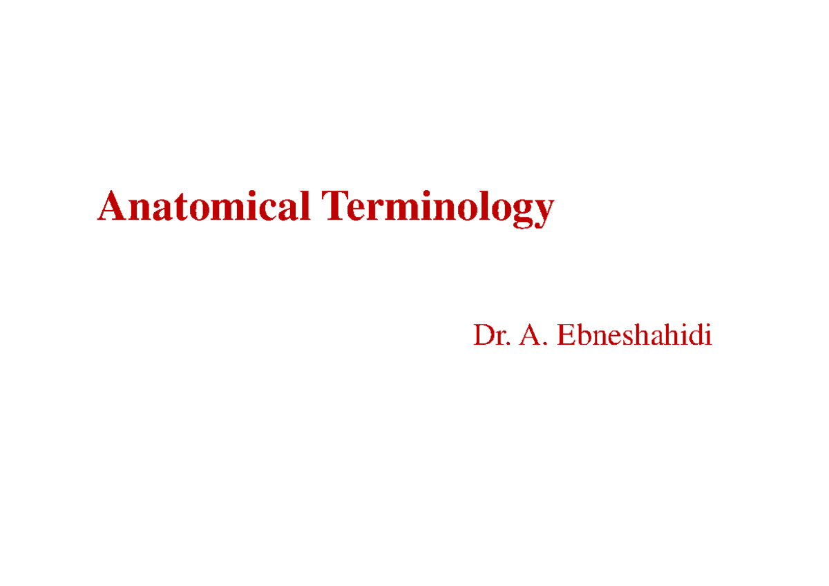 anatomical terminology and diagrams - Anatomical Terminology Dr. A ...