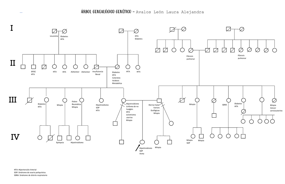 Arbol Genetico Avalos 1225 - ÁRBOL GENEALÓGICO GENÉTICO - Avalos León ...