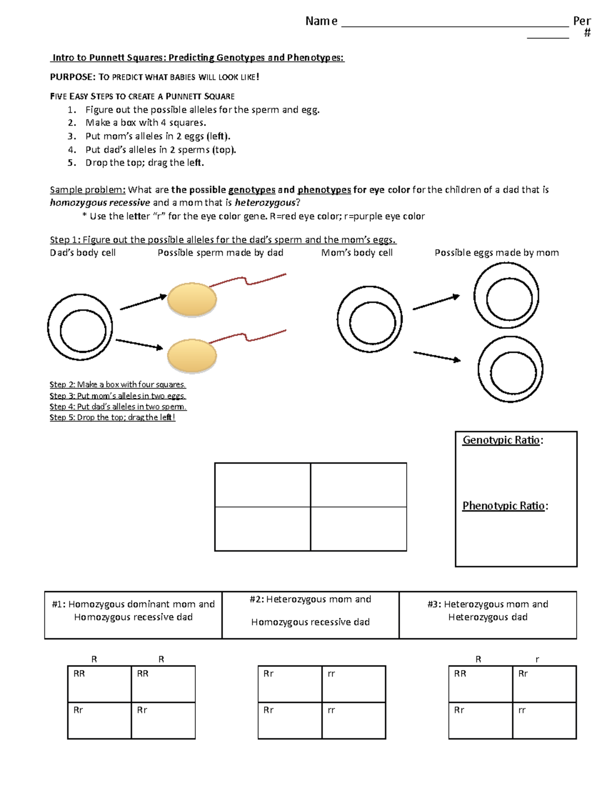 Notes-Intro to Punnett Squares Handout - Intro to Punnett Squares ...