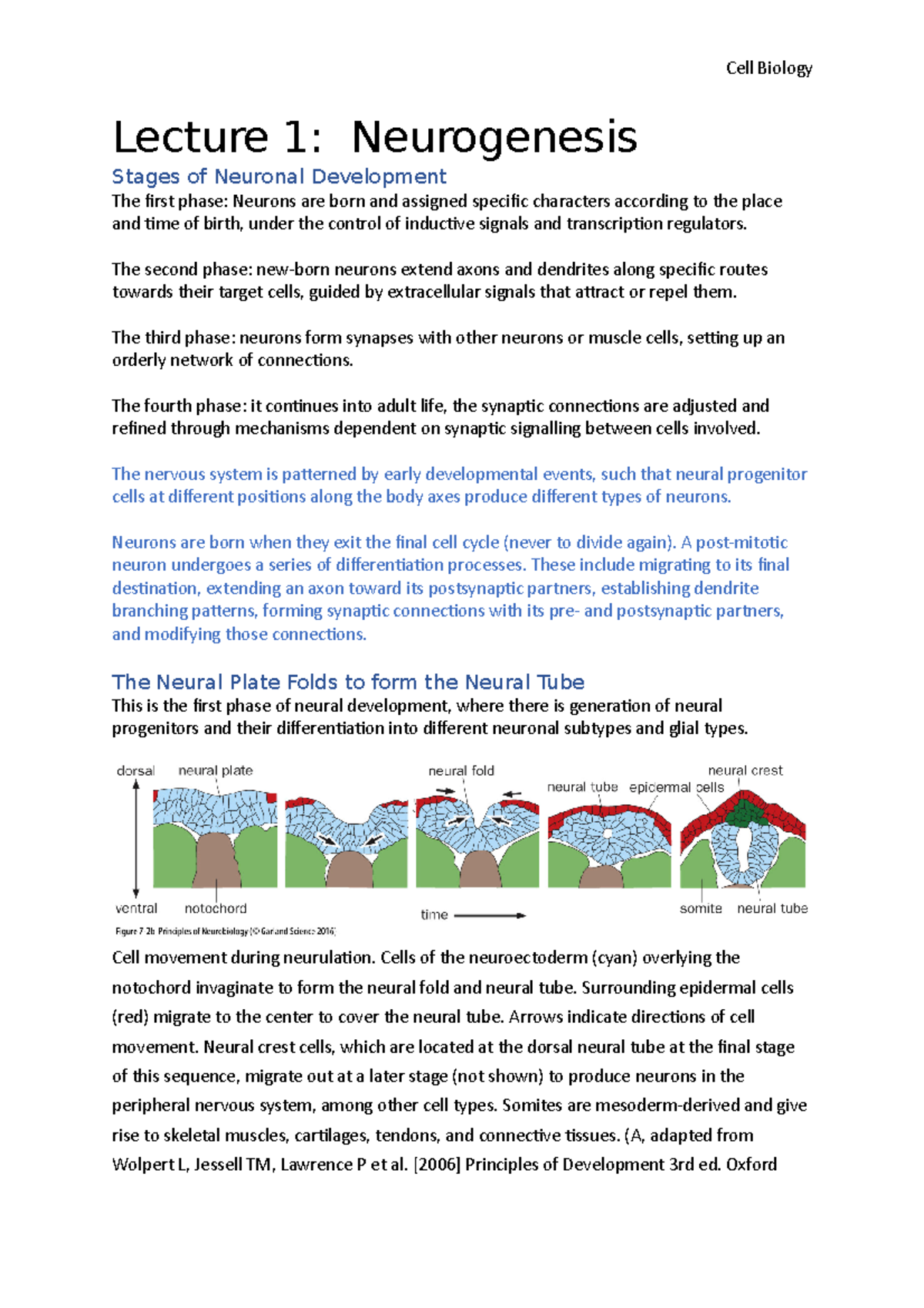 Neurogenesis - Full Lecture and Revision Notes - Cell Biology Lecture 1 ...