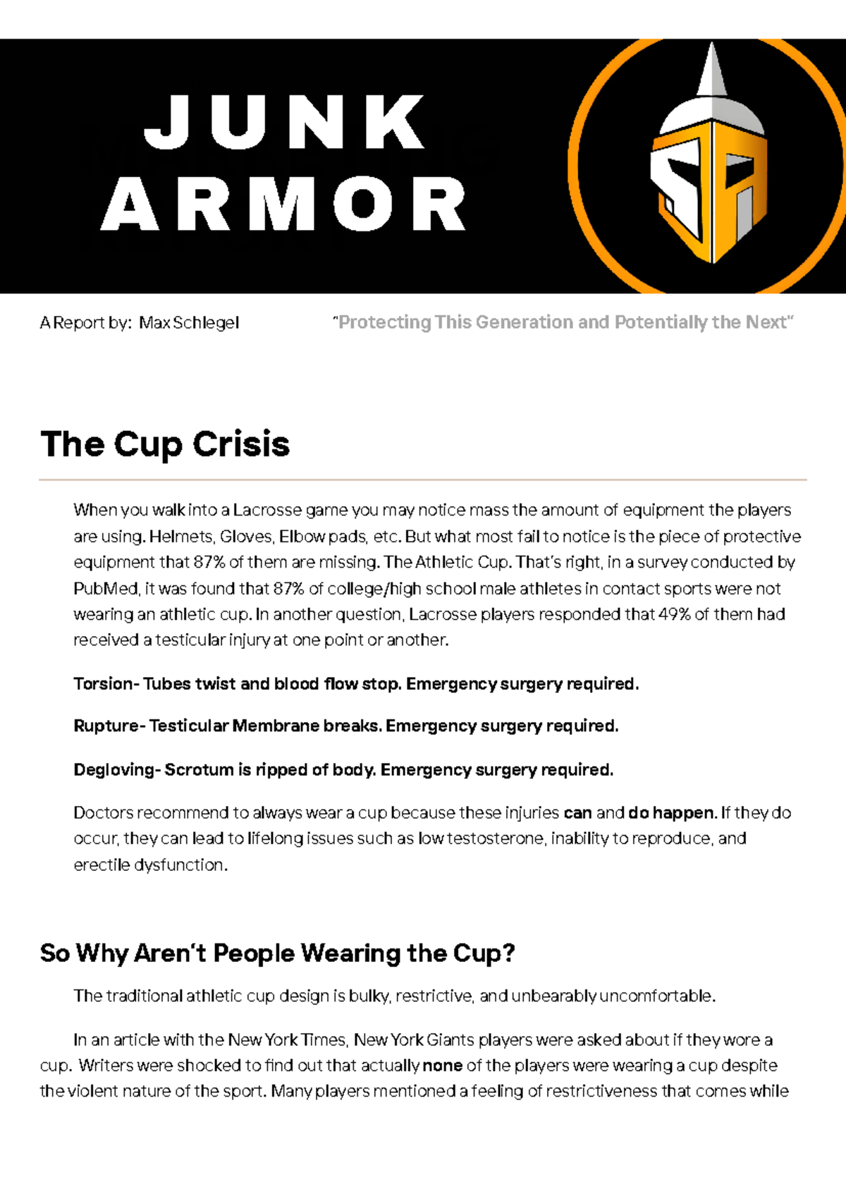 Junk Armor Report - A Report by: Max Schlegel “Protecting This ...