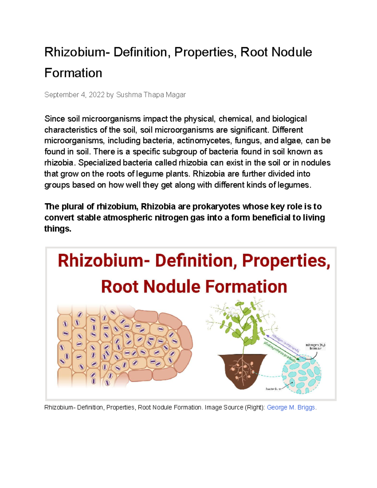 Untitled document - sdfhjhfkjshdvs - Rhizobium- Definition, Properties, Root Nodule Formation ...