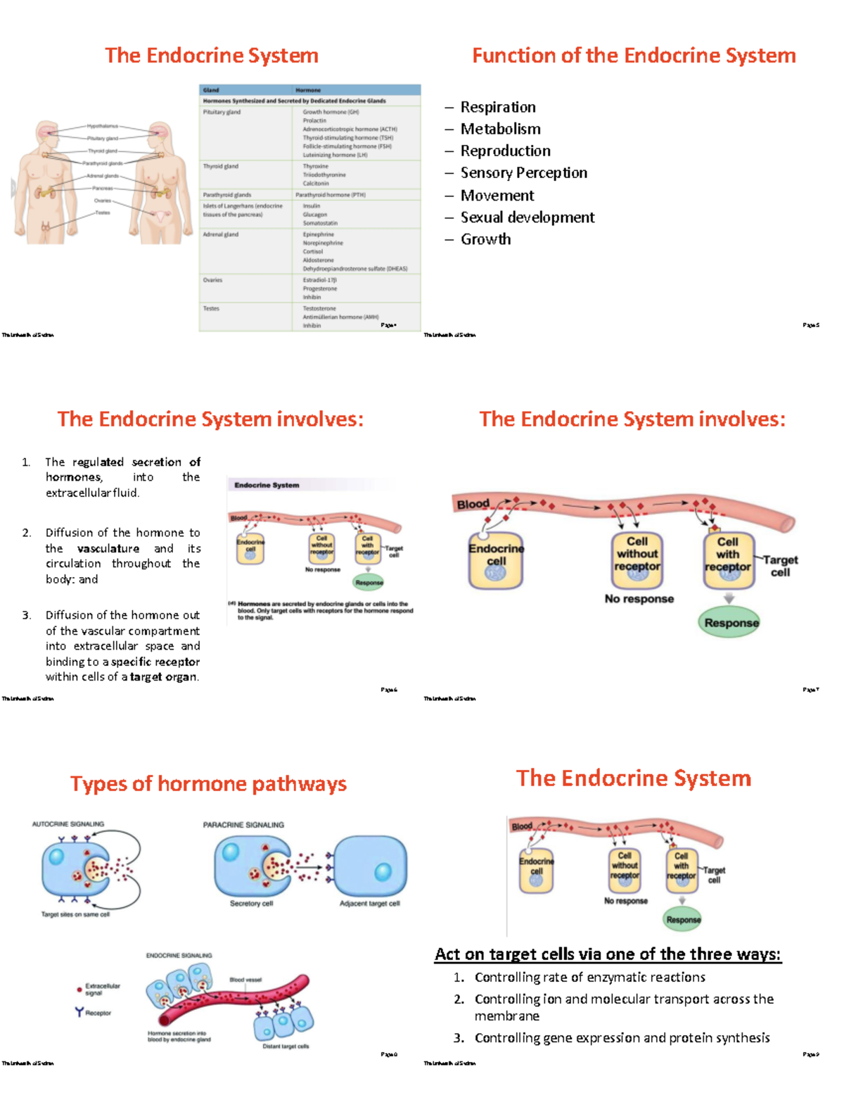 Lecture 1 endocrine system - MEDS2001 - USyd - Studocu