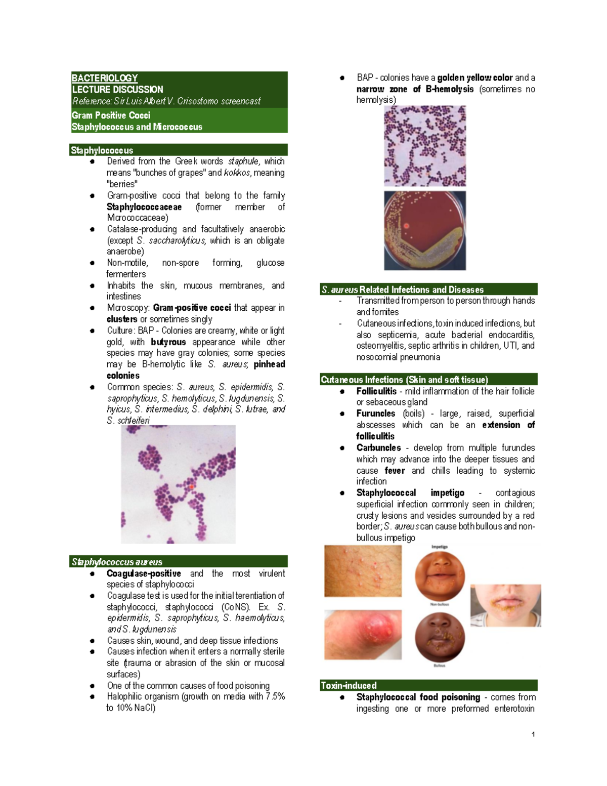 Bacte LEC-4 Gram Positive Cocci Staphylococcus and Micrococcus ...