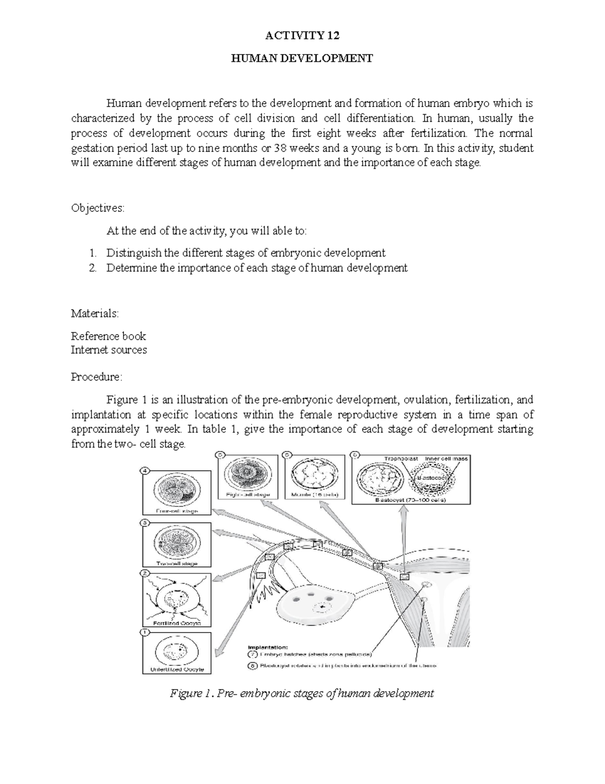 Activity 12 Human Development - ACTIVITY 12 HUMAN DEVELOPMENT Human ...