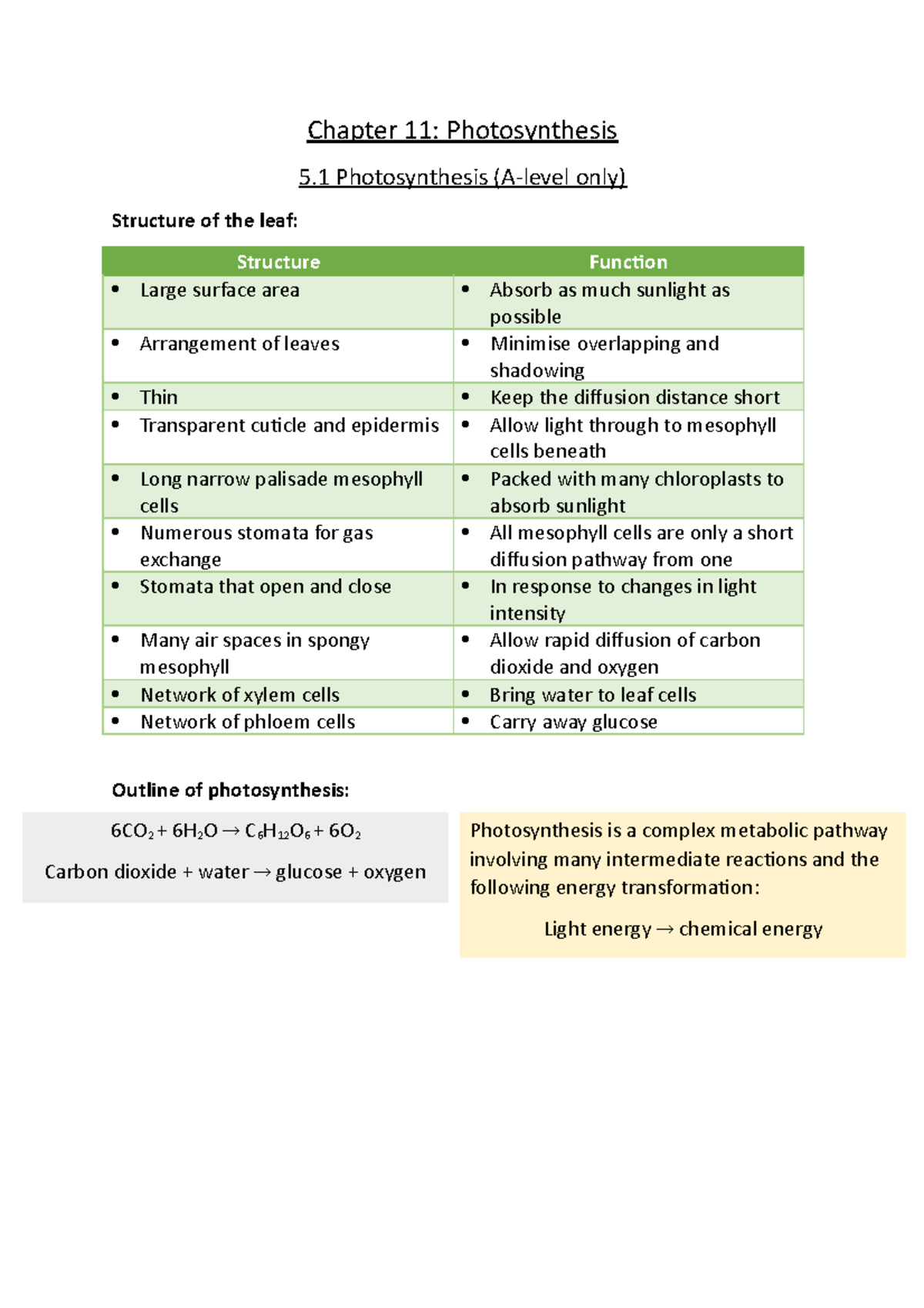 Photosynthesis - Biology lecture notes - Chapter 11: Photosynthesis 5 ...