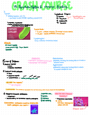 Axial and Appendicular Muscles Worksheet - Orbicularis oculi Risorius ...