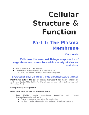 Unit 3 Cell Structure - A&P 1 - Cell Structure and Function Dr. Comber ...