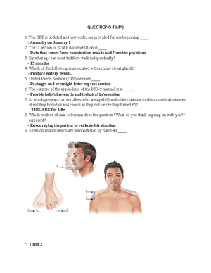 Ati Intravenous Medication Administration Administering intravenous ...