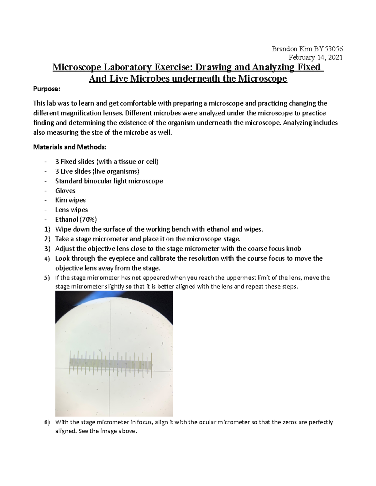 Microscope Lab Exercise D - Brandon Kim BY February 14, 2021 Microscope ...