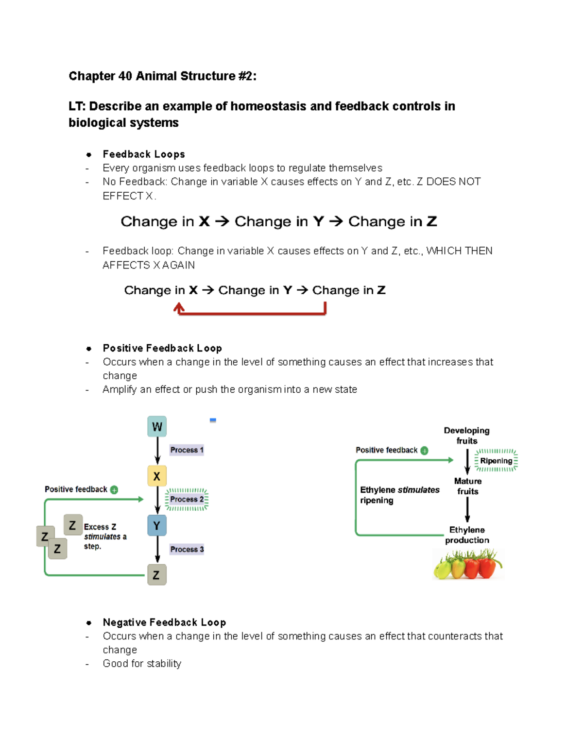UCSD BILD 2 Notes - Chapter 40 Animal Structure #2: LT: Describe an ...
