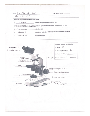 Cell Structure & Division/Microscope Homework - BIOL2114 - Studocu