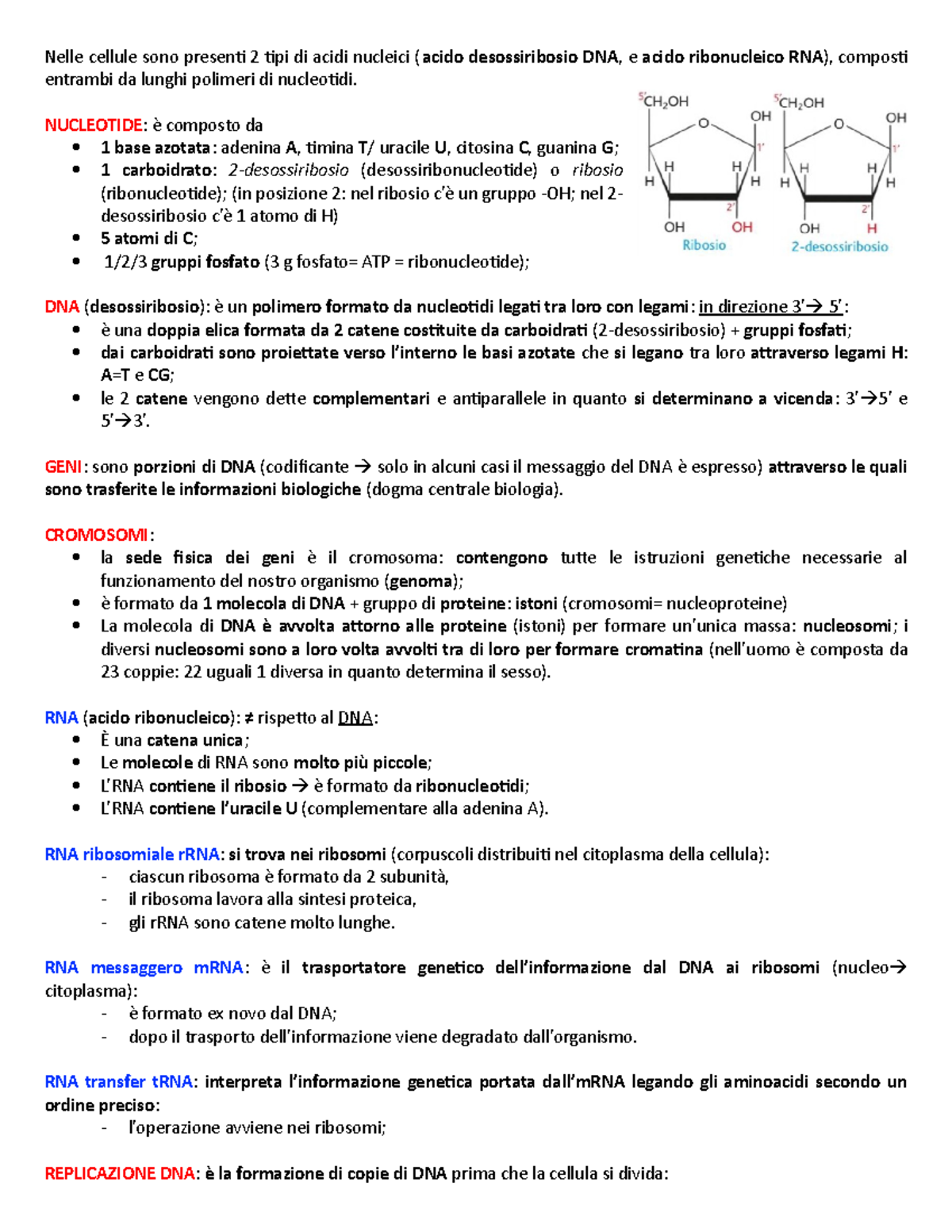 Acidi nucleici - NUCLEOTIDE : è composto da 1 base azotata : adenina A ...